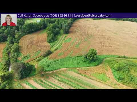 0 Tom Teague Rd, Cleveland, GA 30528 - MLS #8453965