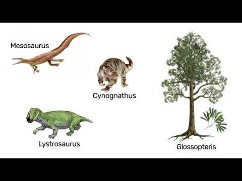 THE CONTINENTAL DRIFT THEORY EVIDENCES AND EXAMPLES