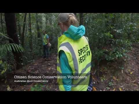 Citizen Science Conservation Volunteer with No Limit Australia