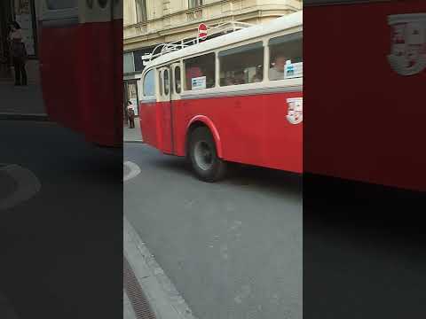 DPMB a.s. Historický Autobusy v Brně v ulici České