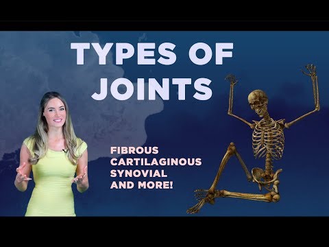 Types of Joints: Synovial, Fibrous, Cartilaginous