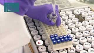 Analytical Scientist Overview | What is an analytical scientist? - Zippia