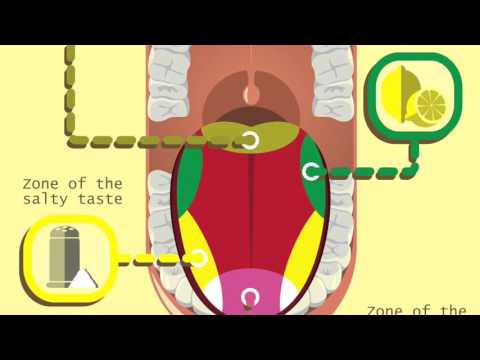 Around Dtown - Expedition Health - Denver Museum of Nature & Science