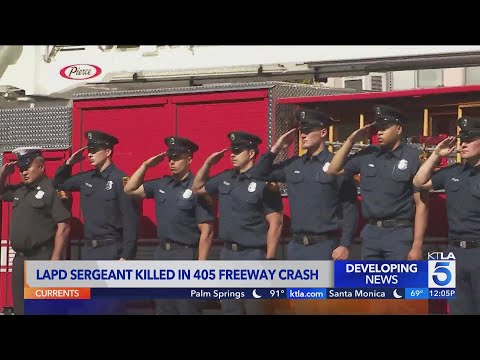 LAPD mourns sergeant killed in 405 Freeway crash