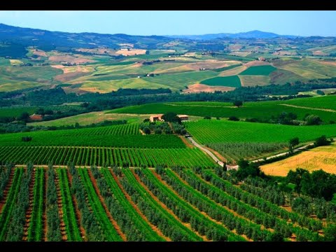 Col d'Orcia 2016 Brunello di Montalcino Release - Wine Oh TV
