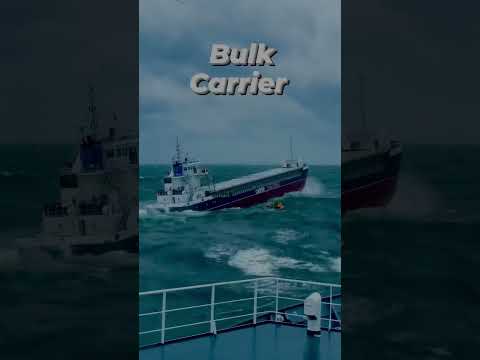 How many types of ship?? Check this out