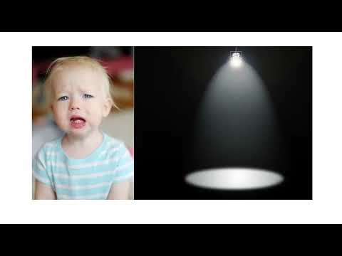 Spike Rhyming Words Phonemic Awareness