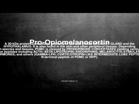 Medical vocabulary: What does Pro-Opiomelanocortin mean