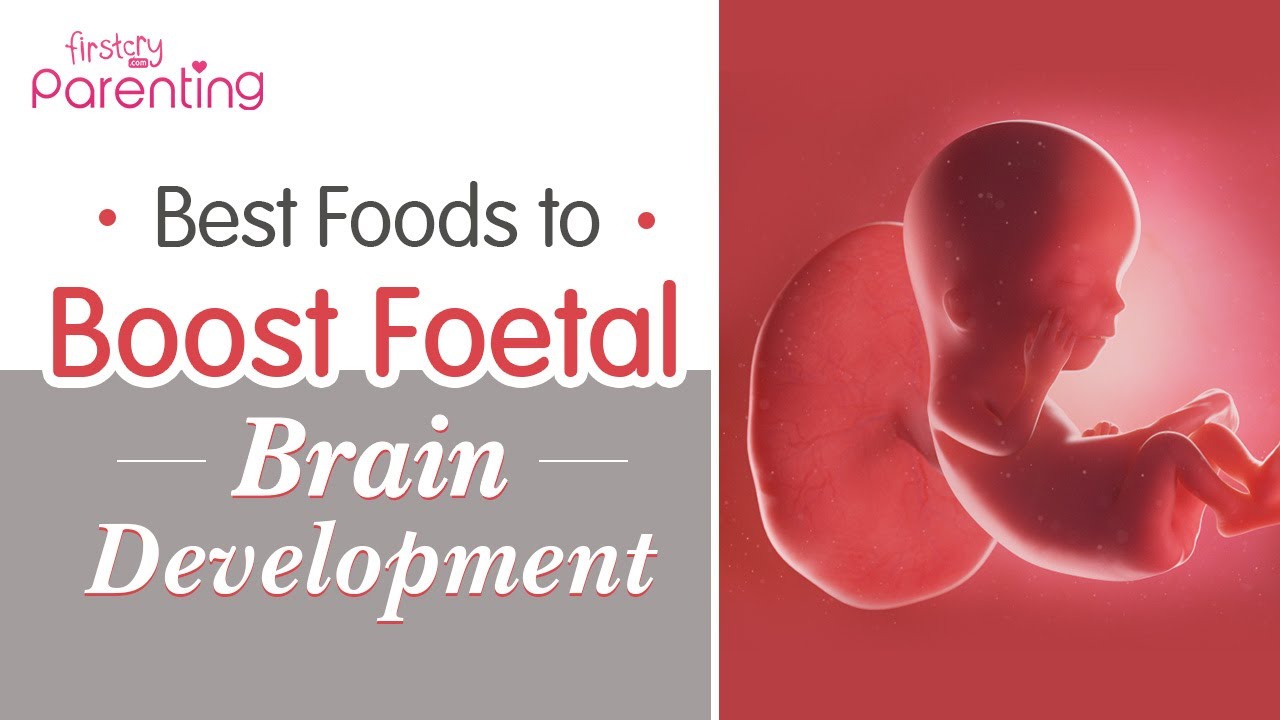Essential Foods for Boosting Fetal Brain Development During Pregnancy ...
