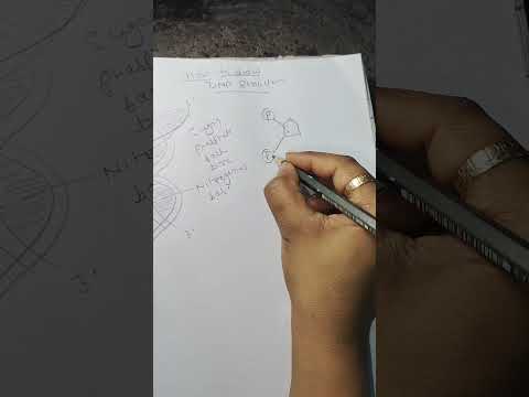 how to draw DNA structure