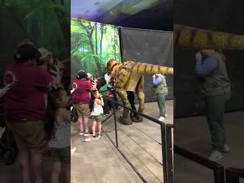 Visit Jurassic Quest with us! Check out our review on the blog. #jurassicquest #jurassicquest2023