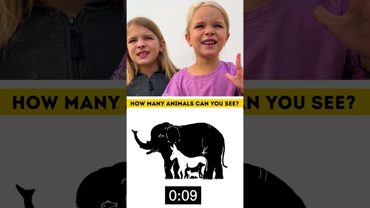 How Many Animals?! #kidsfun