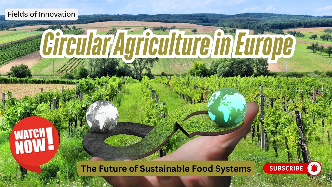 55 - Circular Agriculture in Europe: The Future of Sustainable Food Systems