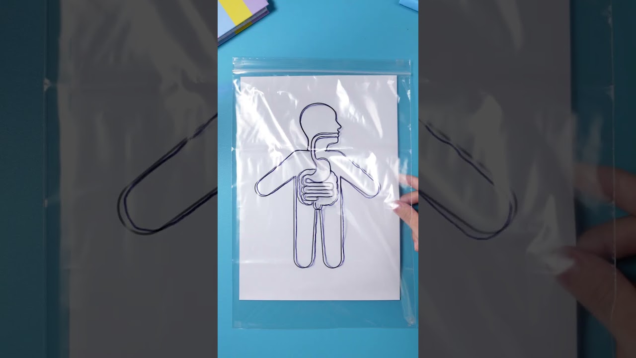 How Does Food Travel Inside Us? Dad’s DIY Digestive System! 🍎🧠📄#DIY #learning