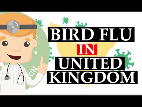First Human Case of Bird Flu (Genotype D1.2) Confirmed in the UK | Public Health