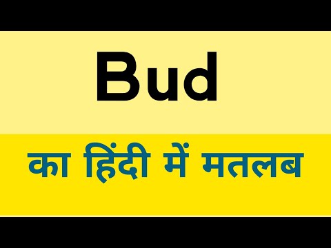 Bud meaning in hindi | Bud ka matlab kya hota hai