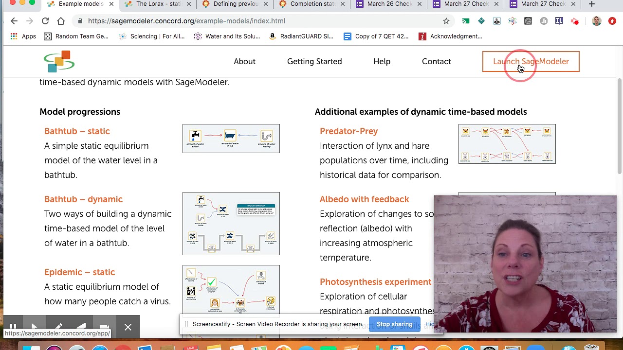 Sage Modeler Examples and Simulate
