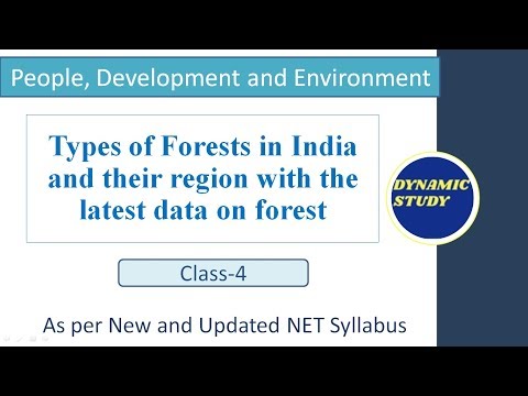 Types of forest in India - Class-4 - Unit-9 Paper-1 - Video Lecture ...