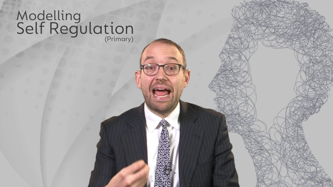 Metacognition 3   Modelling Self Regulation