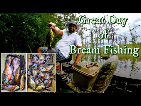 Bream Fishing at Lake Grampus 5/12/24