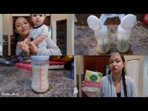 EXCLUSIVELY PUMPING DAY IN THE LIFE | pump schedule + tips for increasing milk supply
