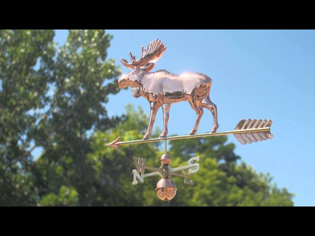 Moose Weathervane with Arrow – The Copper House
