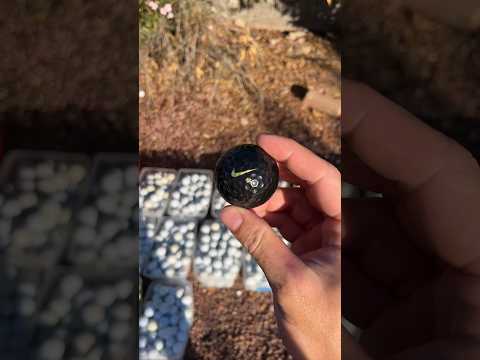 Our worst golf balls?????