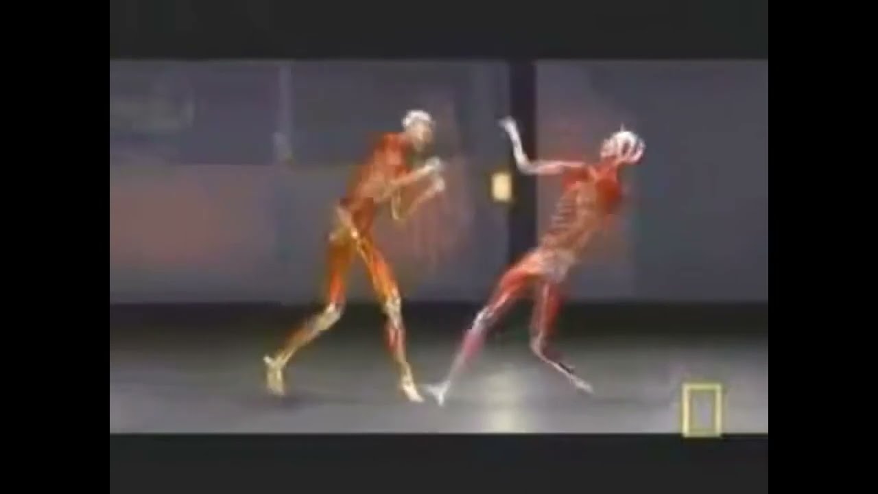 Devastation (extended meme)