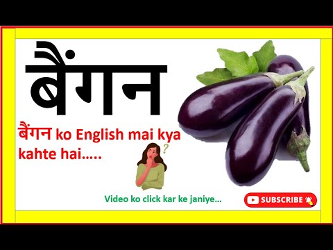 बैंगन को इंग्लिश में क्या कहते हैं ?| bengan ko english mai kya kahte hai|| 📚📝 English grove🧠