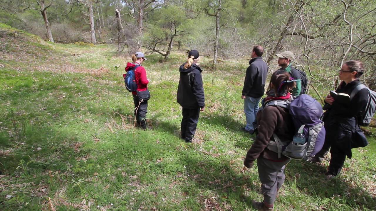National Vegetation Classification (NVC) Woodlands Course