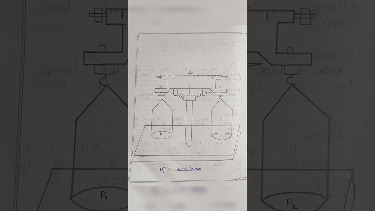 class 11 physics Experiment no 5 |beam balance | #classxiphysics  #physics #notes
