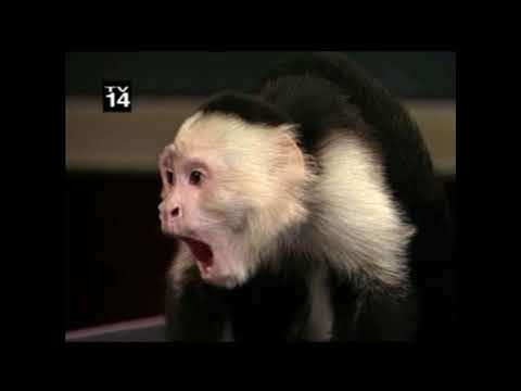 G4 TechTV (Retro TV Compilation 11)
