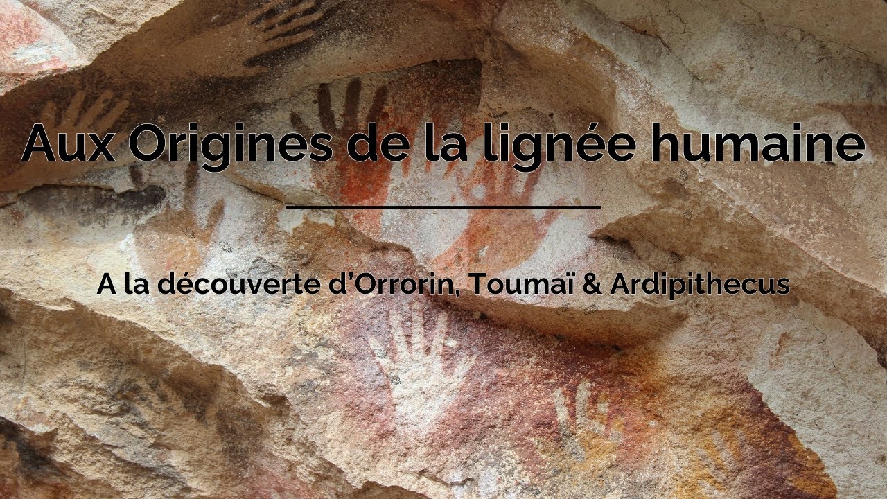 À quand remontent les origines de la lignée humaine ?