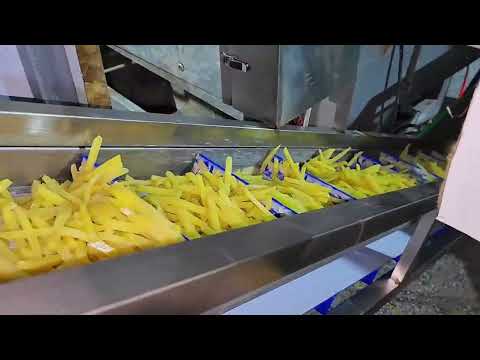 French fry production line