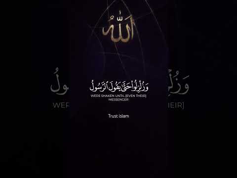 Surah Al-Baqarah Ayat 214 | Beautiful Quran recitation with English translation #quran #islam #viral