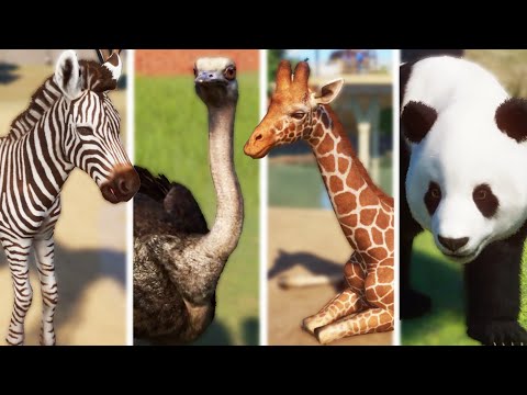Wild Animals of the World: Sounds and Names | Complete List from Planet Zoo