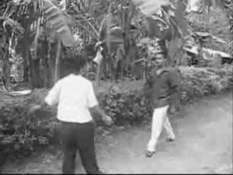 "Touch Me Not" by Cebu Institute of Technology - part 1