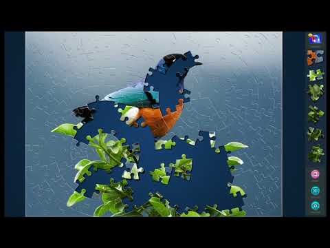 Puzzle Vibes: Bright Starling