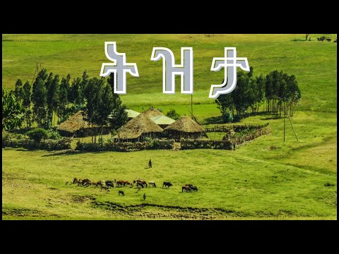 "What a Beautiful Country! 🇪🇹✨" The best Ethiopian Instrumental Classical Music Part 3 (1 hr!)2025