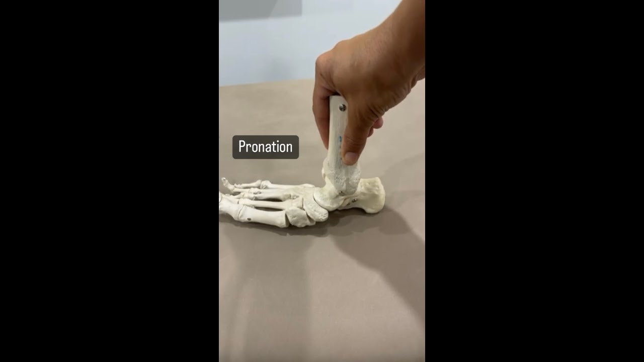 Foot PRONATION and ankle #shorts #feet #posturepro