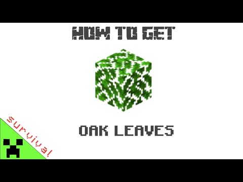 How to get OAK LEAVES in minecraft survival.