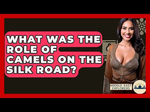 What Was The Role Of Camels On The Silk Road? - Middle East Explorers