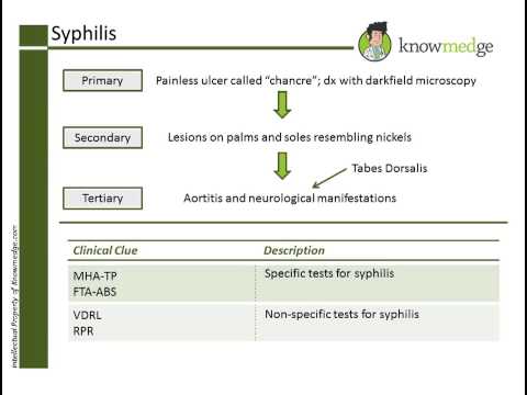 Internal Medicine ABIM Board Exam Review Question: Syphilis
