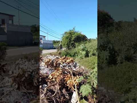 Asking for help from minister Alando Terrelonge to clean up the open lot