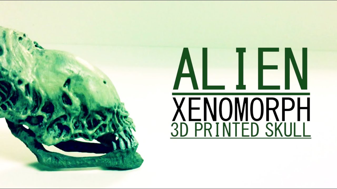 3D Printer  High Resolution - Printed Alien Skull