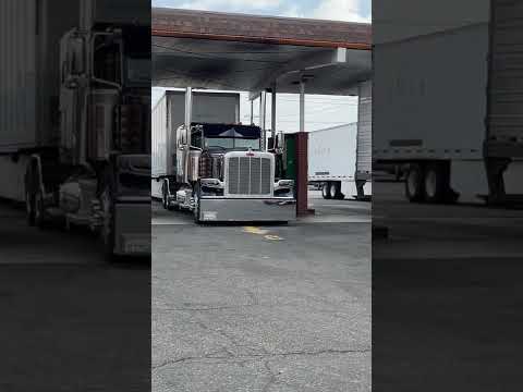 Badass 389 Peterbilt