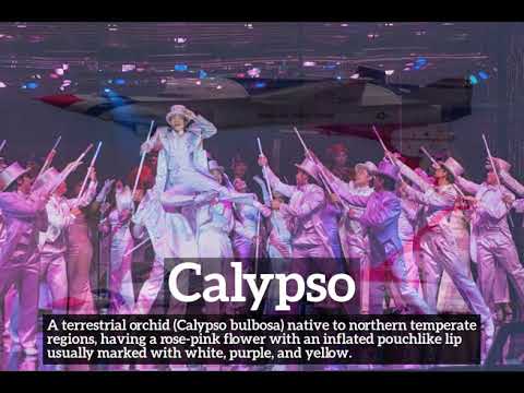 How Does Calypso Look? | What is Calypso? | How to Say Calypso in English?