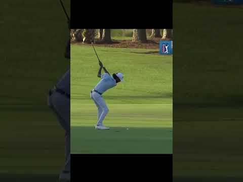 Fresh off his engagement, can Akshay Bhatia continue his recent stellar form π€β³οΈ