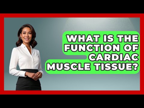 What Is The Function Of Cardiac Muscle Tissue? - Cardiology Community