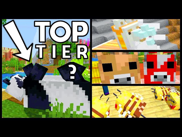 5 pet features that should be added to Minecraft